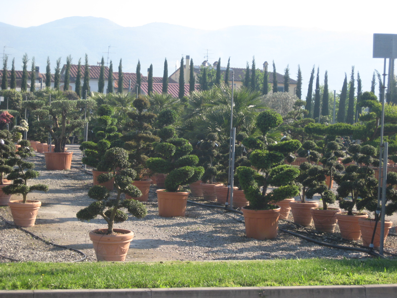L'aménagement de vos jardins - Domaine aux 1001 Roses